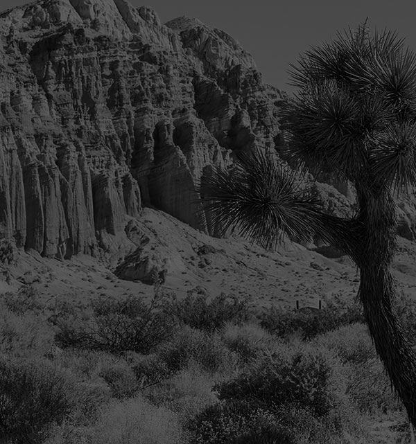 Alpha Connection – A Healthy Mind is the Greatest Treasure to Find