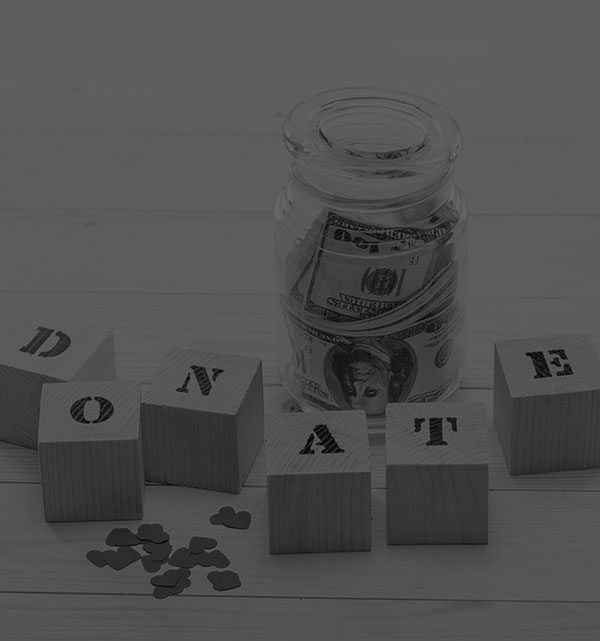 Alpha Connection – A Healthy Mind is the Greatest Treasure to Find